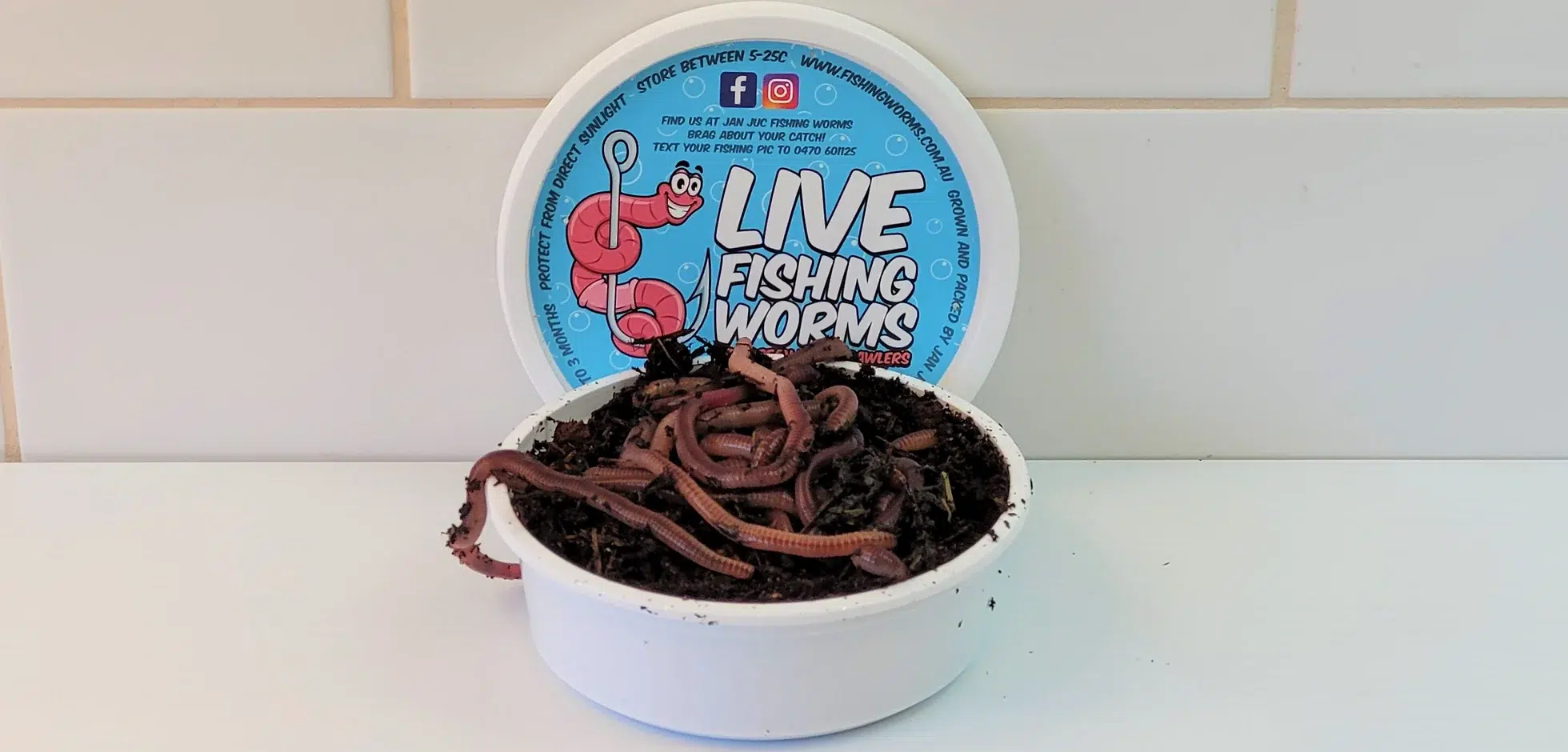 20 Live Bait Fishing Worms - European Nightcrawlers - Going Troppo Fish and Pet Ballarat